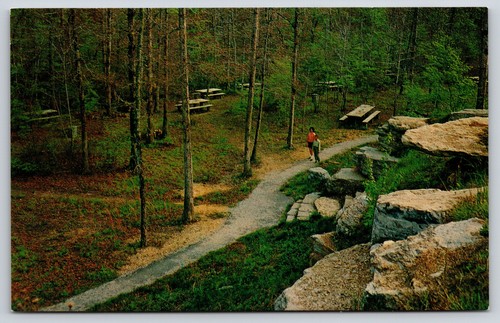 Jacks Branch Recreation Area Tennessee~Natchez Trace Parkway~1950s ...