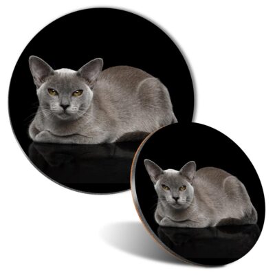 Mouse Mat & Coaster Set Burmese Cat Kittens #50419 | eBay UK