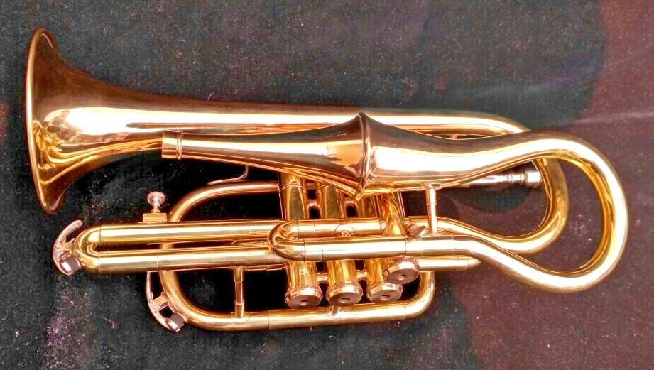 Echo Cornet W/extra Mute Effects Customized Cornet Duplex Music Jazz ...