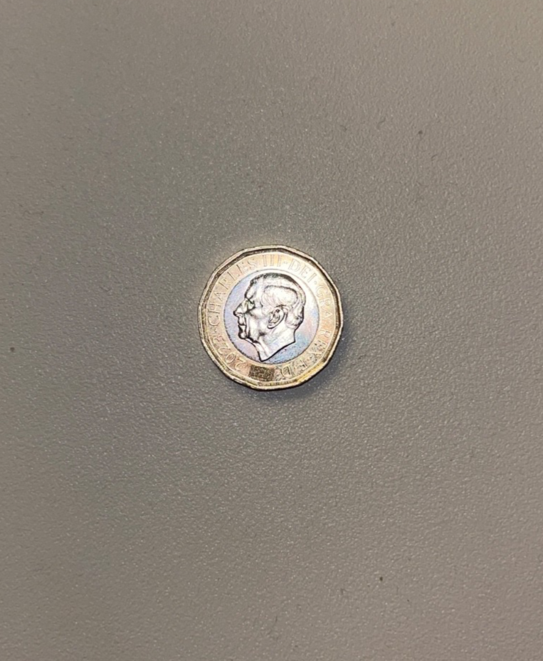 2023 King Charles Bees £1 Pound Coin | eBay UK