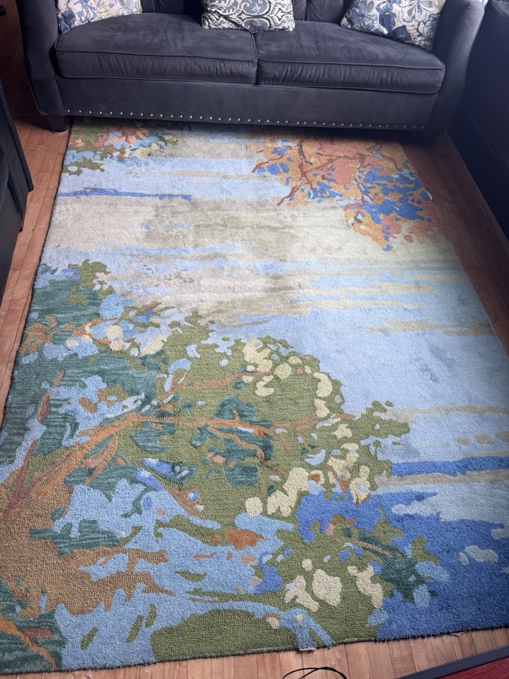 Company C Landscape Teal Indoor Area RUG 6x9 | eBay