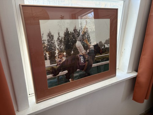 Jerry Bailey Signed Photo / Sea Hero 1993 Kentucky Derby Win | eBay