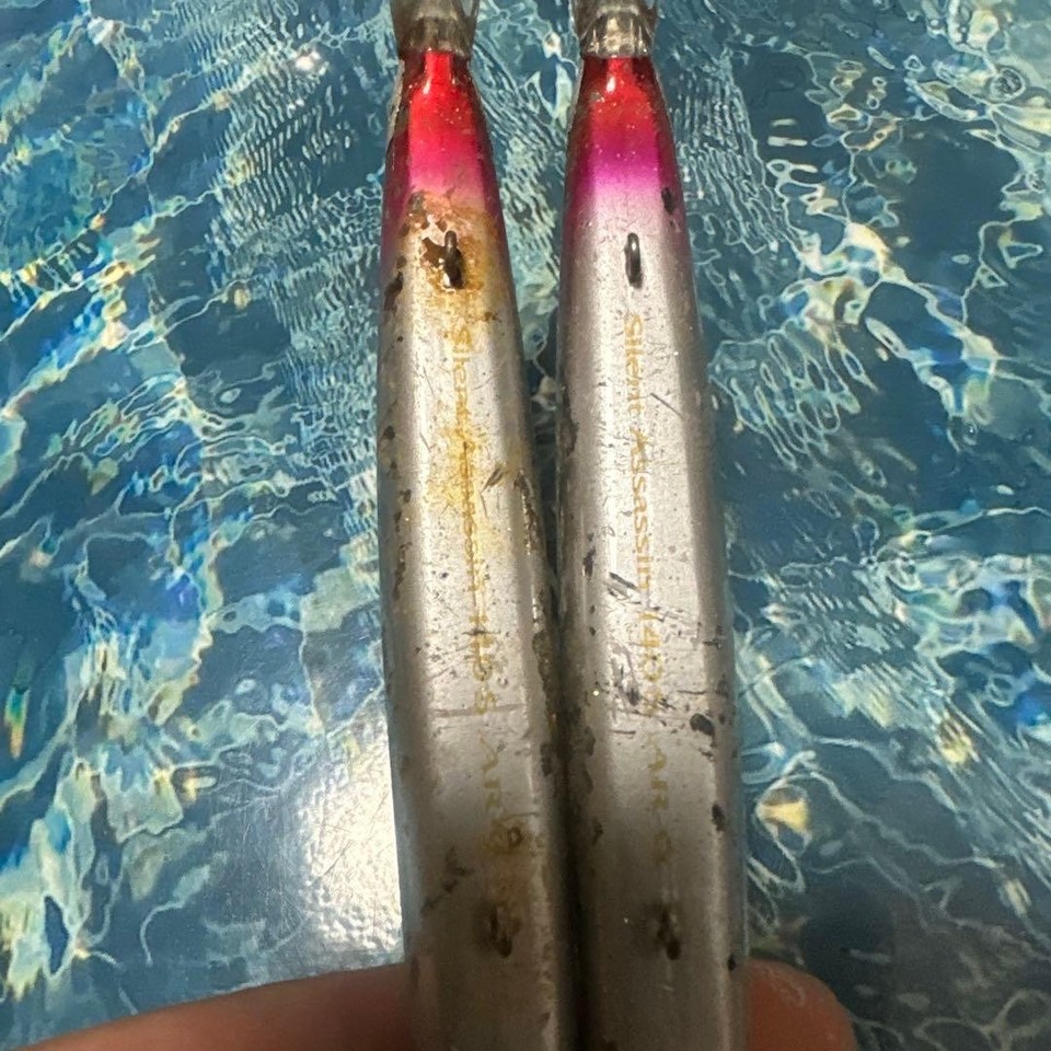 Shimano [Silent Assassin 140S] | eBay UK