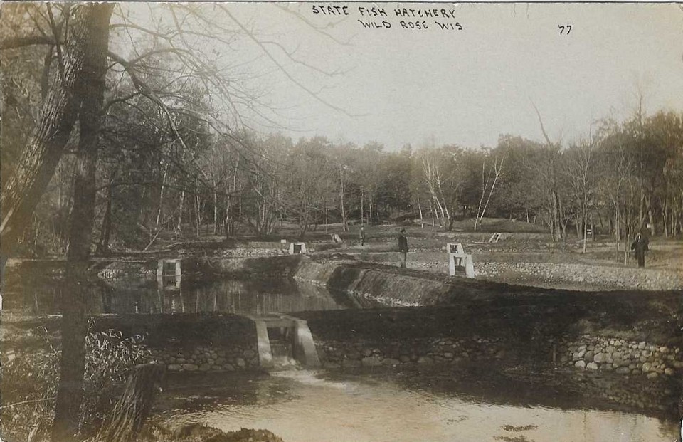 WI RPPC State Fish Hatchery Ponds & People, Wild Rose Wisconsin Real ...