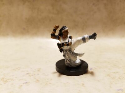 Whirling Steel Monk #12 (U) Deathknell D&D Miniatures | eBay