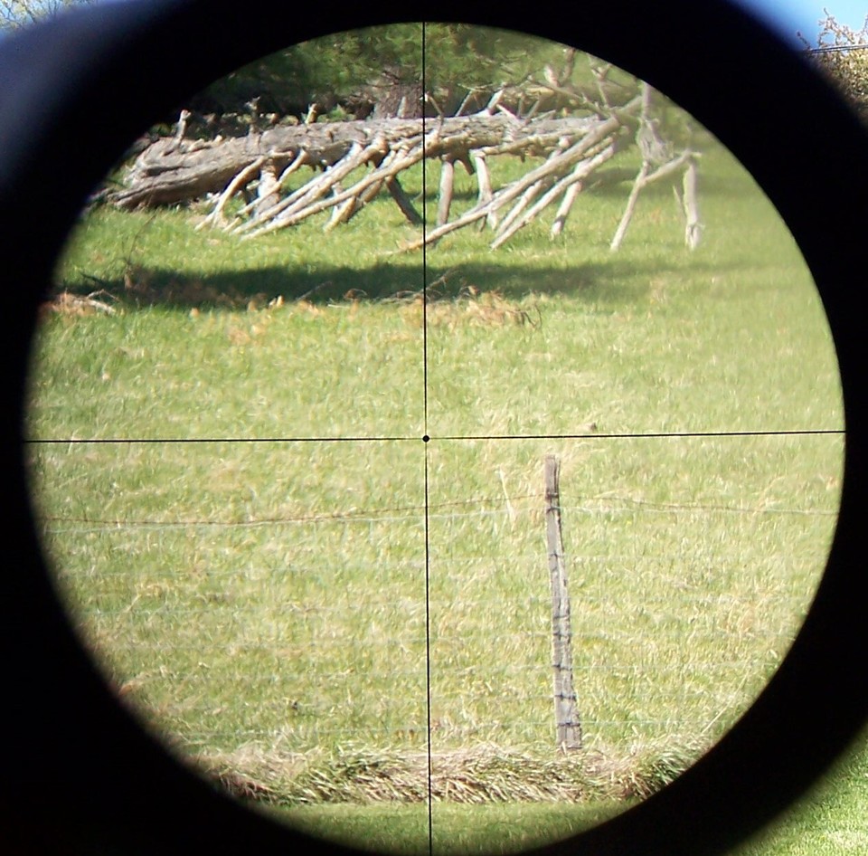 Leupold 10x40mm A.O. Target Varmint Rifle Scope Nice 1979 DOT | eBay