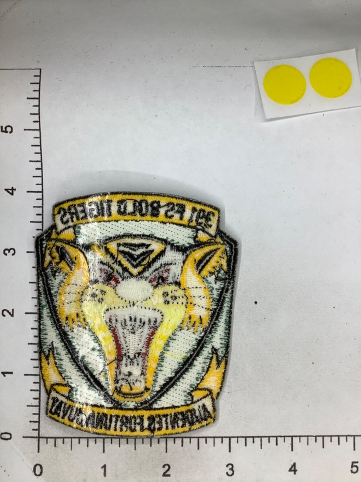 USAF 391ST FIGHTER SQD BOLD TIGERS SQUADRON PATCH | eBay