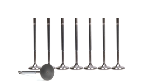 8x Einlassventile Mercedes B-Klasse W246 W242 1,6 270.910 2700530001 ...