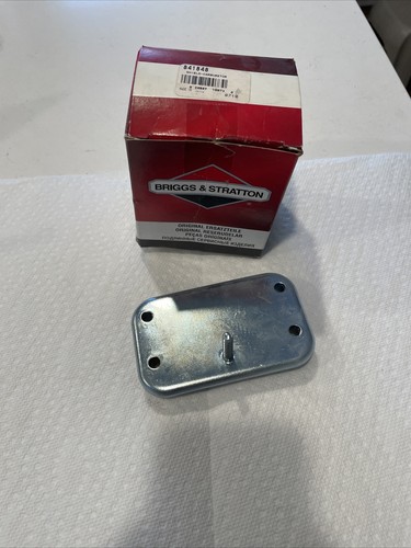 New Briggs & Stratton 841848 Carburetor Shield OEM Small Engines | eBay
