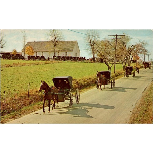 Mennonite Carriages at Church Pennsylvania Dutch Country Vintage ...