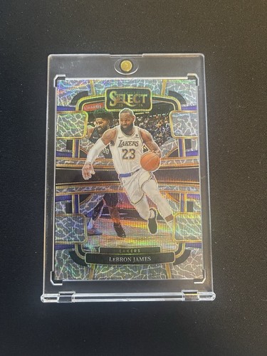 2023-24 Panini Select Lebron James #66 Concourse Elephant Lakers Case ...