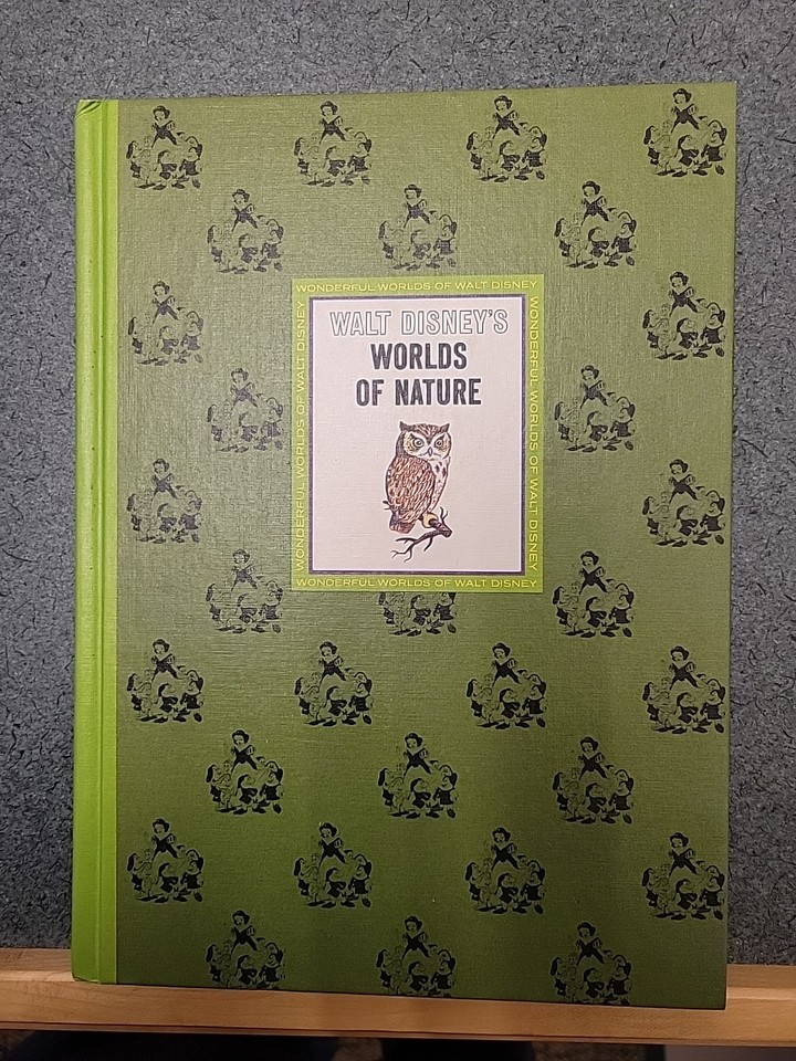 The Wonderful Worlds of Walt Disney Vintage 1965 4 Book Set Fantasy ...