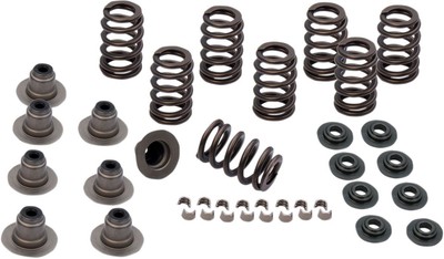 S&S Cycle Moto Motorcycle Motorbike Valve Spring Kit | Vendor #900-0958 ...