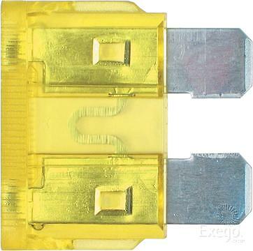 10pcs / 20 Amp Standard Blade Fuse - Car Truck Auto Fuses 20A | eBay ...