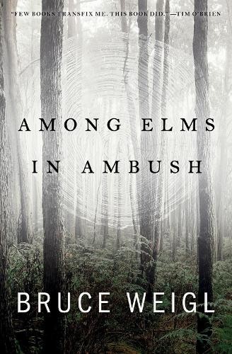 Bruce Weigl Among Elms, in Ambush (Paperback) (UK IMPORT) 9781950774418 ...