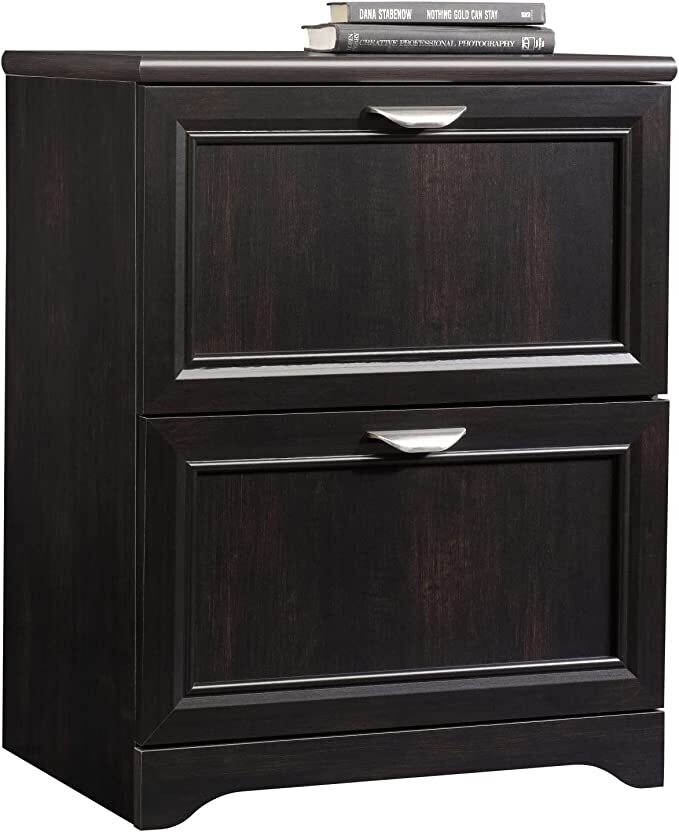 Realspace Magellan 24 W Lateral 2-Drawer File Cabinet 547758 - Espresso ...