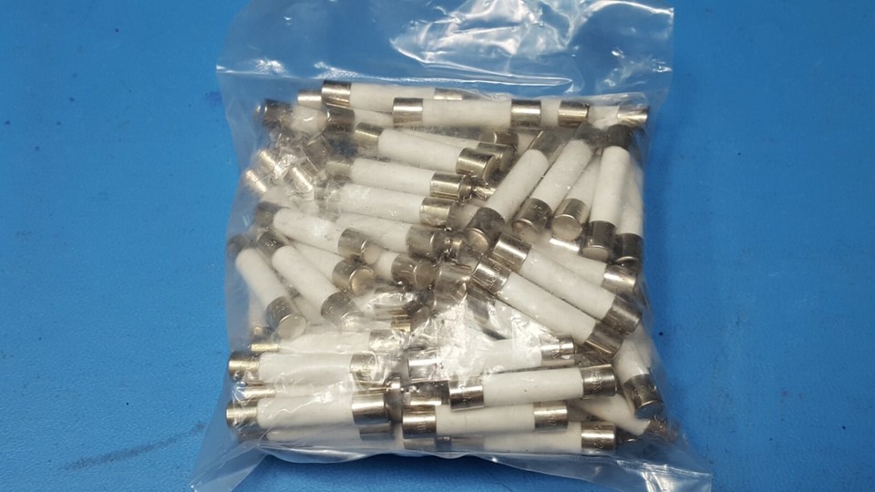 100 PCS ,Miniature Fuse, 65TS, Slow Burning, 250V 20A, RoHS | eBay