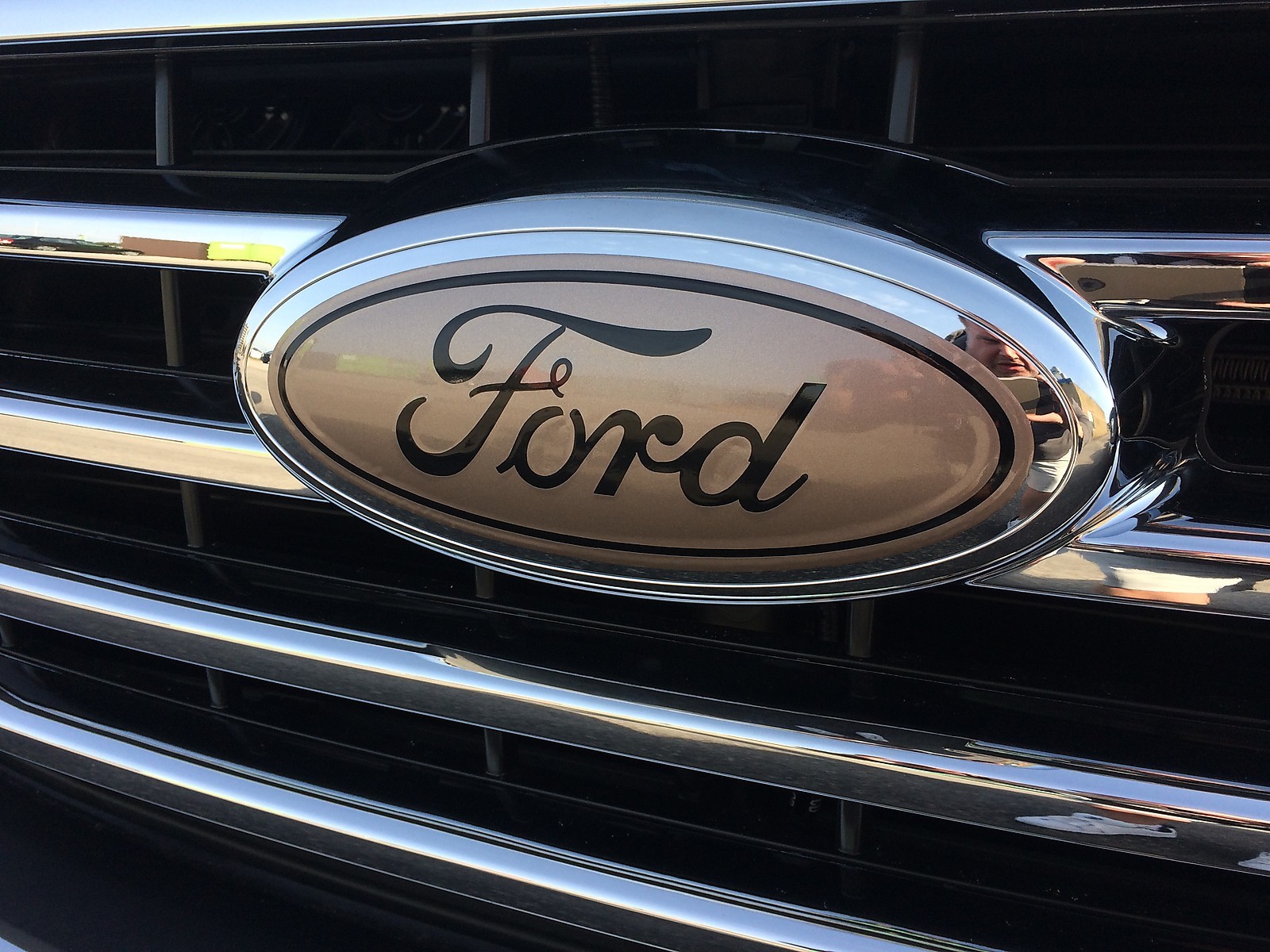 ford oval emblem STONE GRAY STICKER / DECALS OVERLAYS For 2018 F150 | eBay