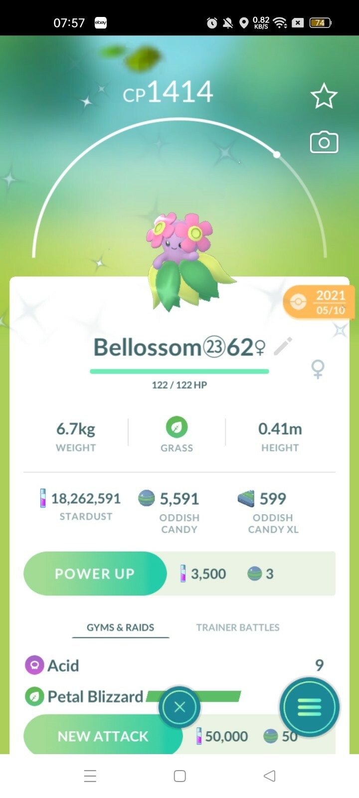 Shiny Bellossom