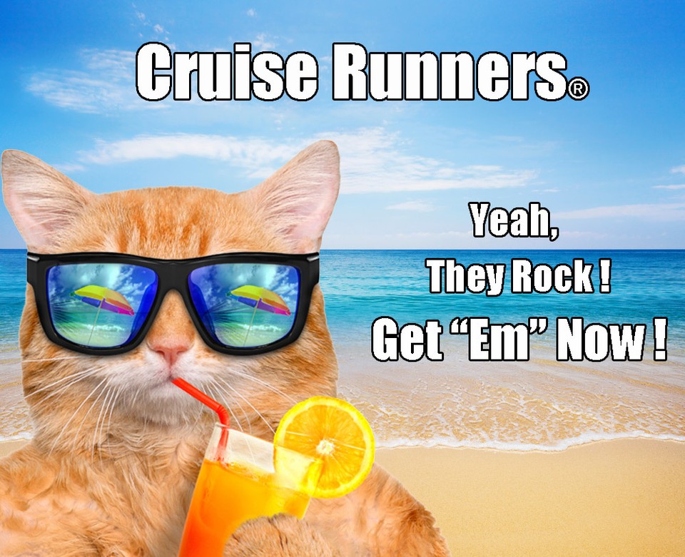 Cruise Flask Kit Plastic Runners Rum Sneak Smuggle Alcohol Liquor Booze ...