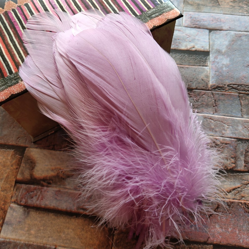 Wholesale 20-100 Pcs Pretty Natural Goose Feathers 12-18 cm/5-7 inches ...