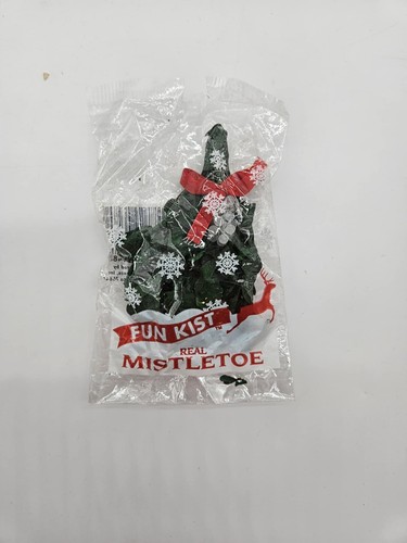 Vintage Real Mistletoe Dried Preserved, FUN KIST REAL MISTLETOE | eBay