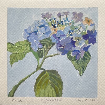 Maria Avila “Hydrangea” Flower Art 8x8 Original on Paper, unframed | eBay