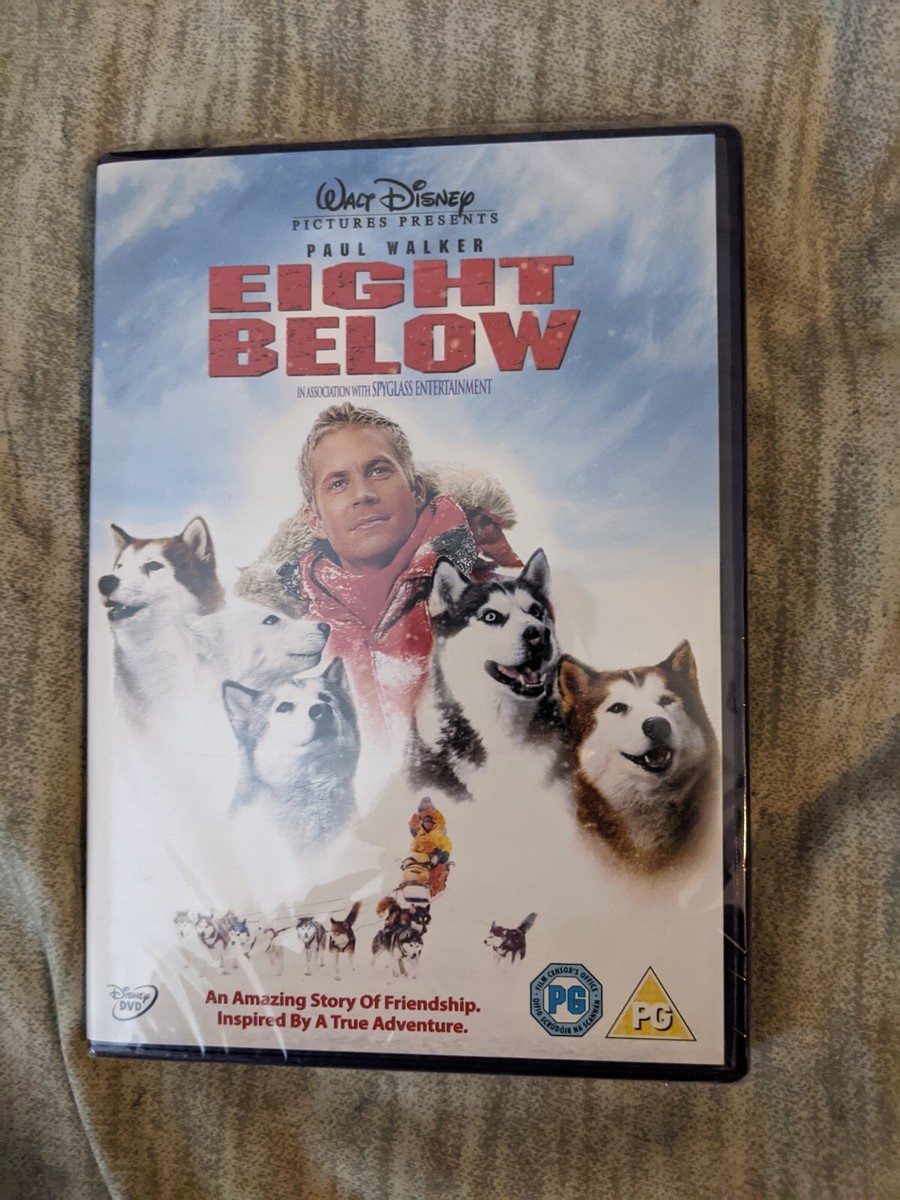 Eight Below Dewey And Truman