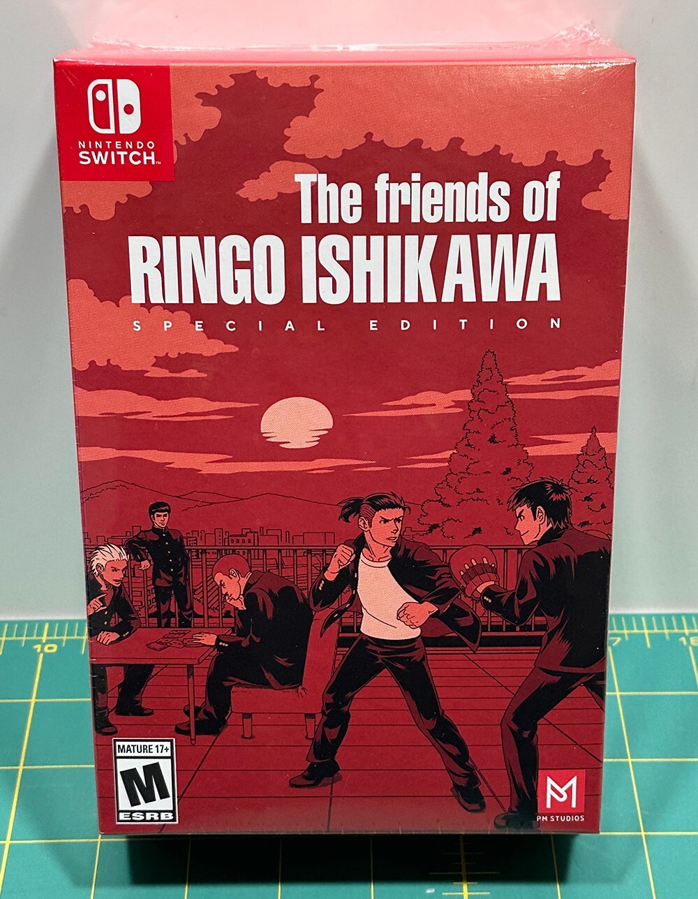 Friends of Ringo Ishikawa: Special Edition - Nintendo Switch - Brand ...