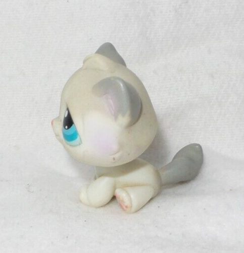 LITTLEST PETSHOP LPS #52 / 310 HASBRO CHAT DE GOUTTIERE BLANC GRIS YEUX ...