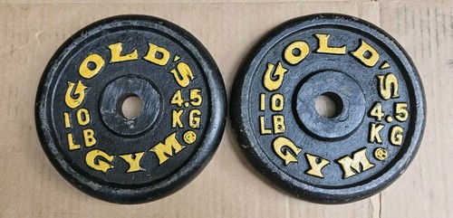 Pair of 10 lb Gold's Gym Barbell Standard Size Weights Barbell vintage ...