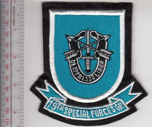 Green Beret US Army 19th Special Forces Group Airborne Flash & SF Crest ...