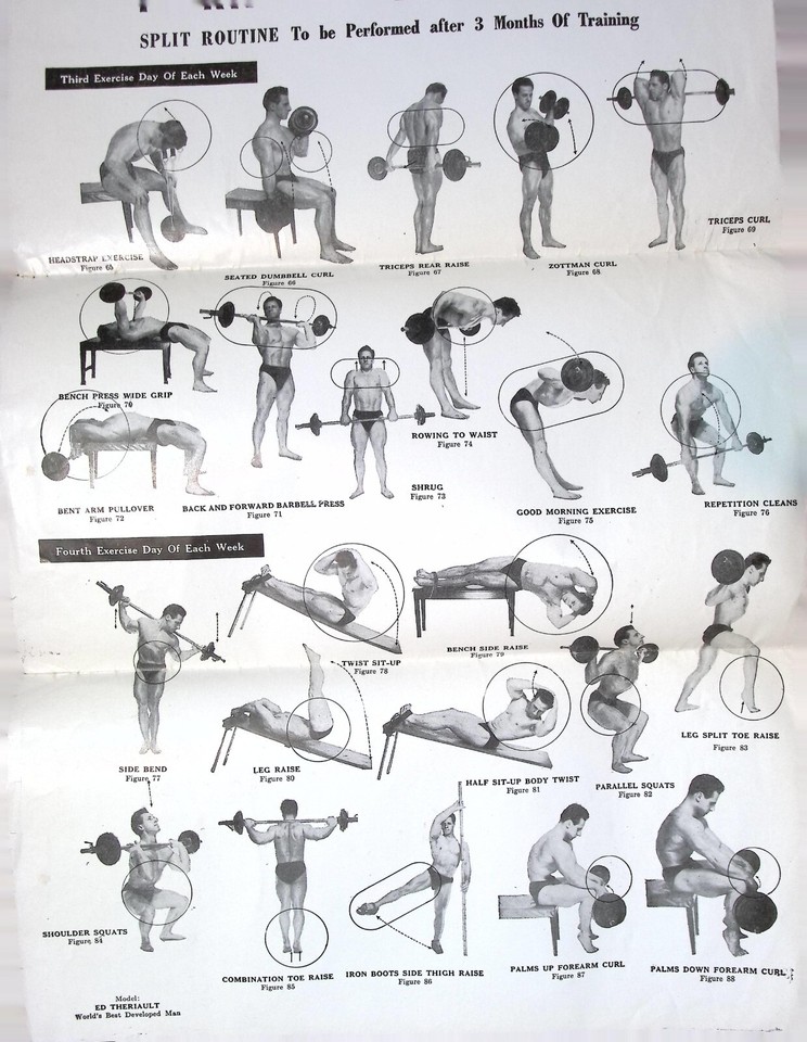 Vintage 1950s Weider System Barbell Exercise Chart No. 5 Split Routine ...