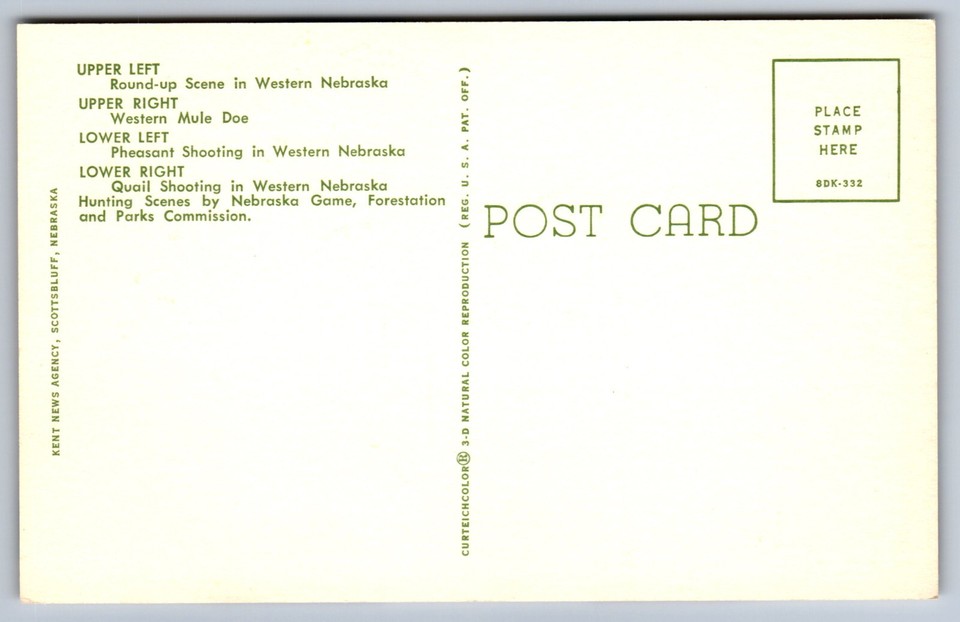 Postcard NE Pheasant Quail and Dear Hunters Welcome to Nebraska W8 | eBay