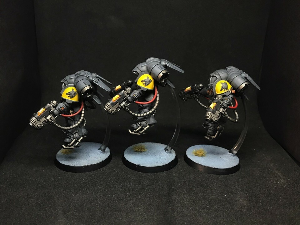 Space Wolves Primaris Inceptors painted Warhammer 40k Space Marines | eBay