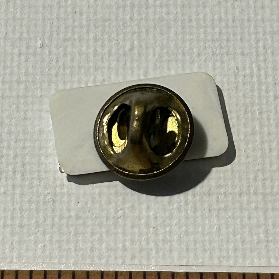 Vintage CFC Combined Federal Campaign Federal Employee Flag Lapel Hat ...