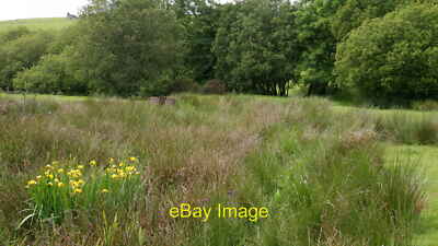 Photo 6x4 Silted up pond Withiel Florey This is one of two adjacent si ...