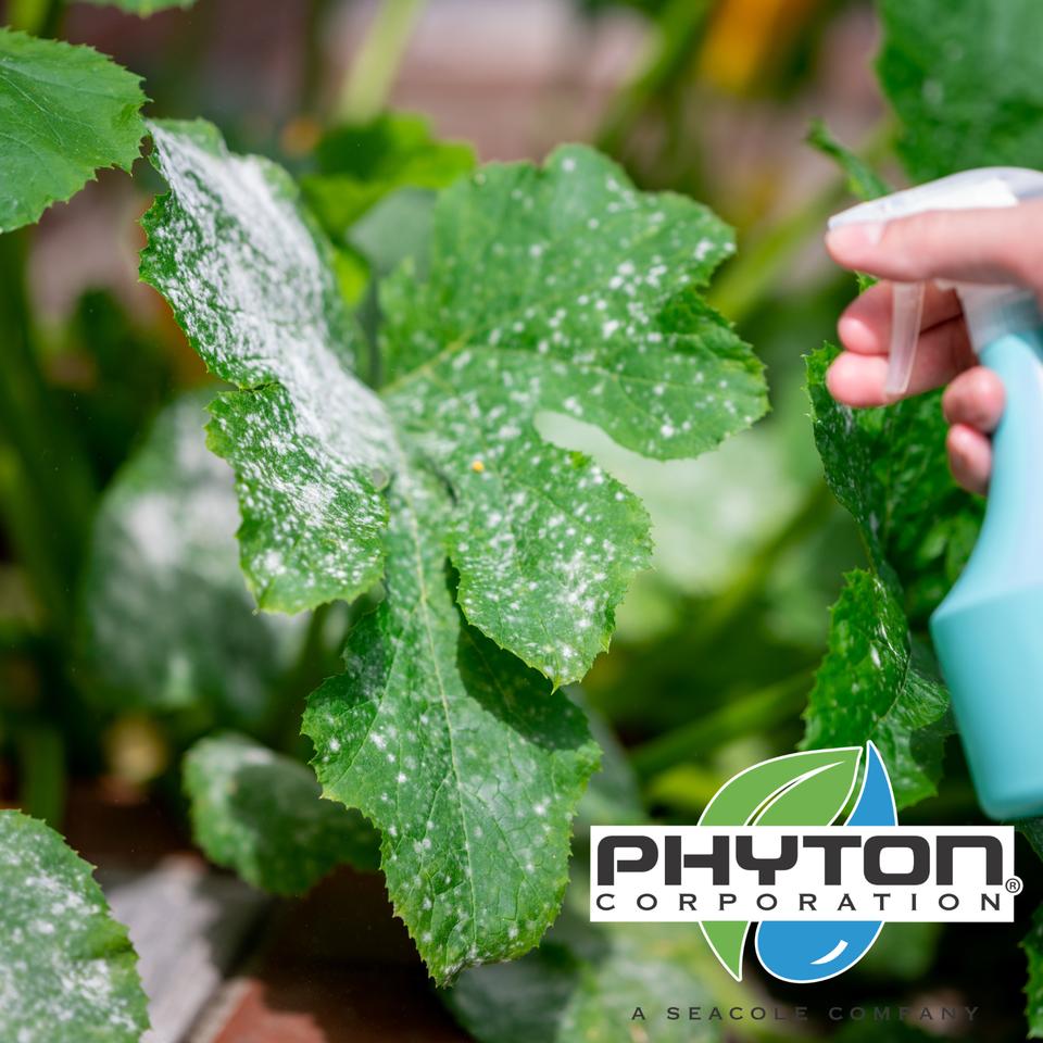 Phyton-27 All-Purpose Plant Disease Control 2oz Bottle | eBay