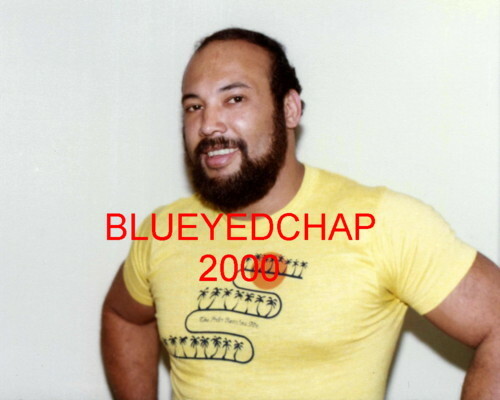 JOSE ESTRADA WRESTLER 8 X 10 WRESTLING PHOTO WWF | eBay