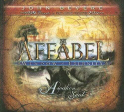 Affabel: Window of Eternity: Awaken Your Soul by John Bevere: Used ...