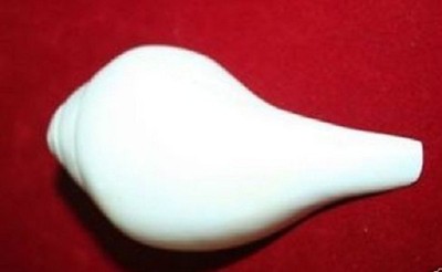 EXCLUSIVE BLOWING SOUND MAKING SANKH SHANKHA SHANKH CONCH SHELL 13 CM ...