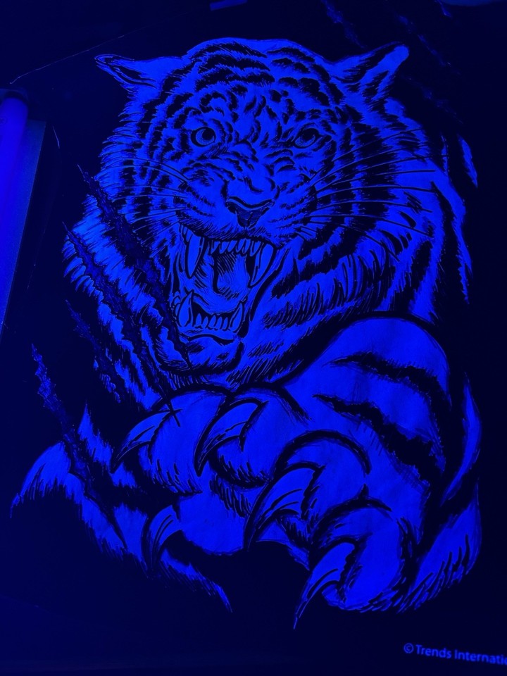 Vintage 1990’s Velvet Blacklight White Tiger Poster MCM Art Uncaged ...