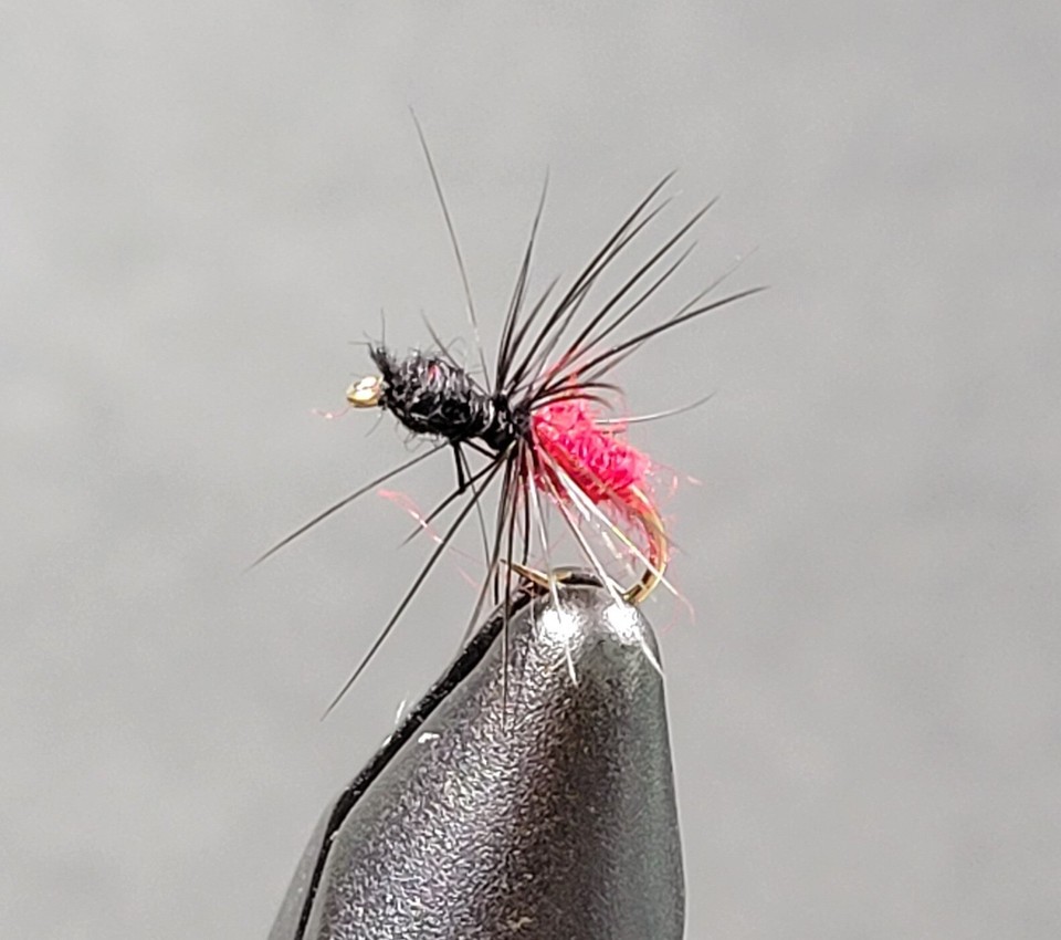 1 Fly, Size 16, BLACK & RED ANT Terrestrial Fly Fishing Flies | eBay