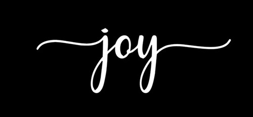 Vinyl Decal for Window - Joy (Various Colors and Sizes) | eBay