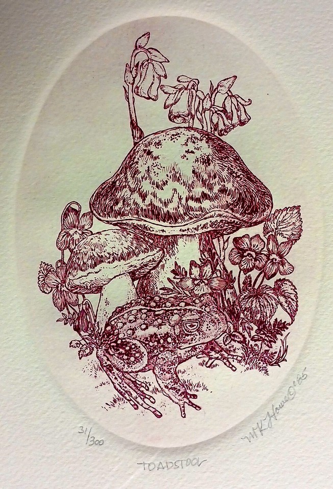 Marsha K. Howe 1985 Numbered Print "TOADSTOOL" 31/300 | eBay