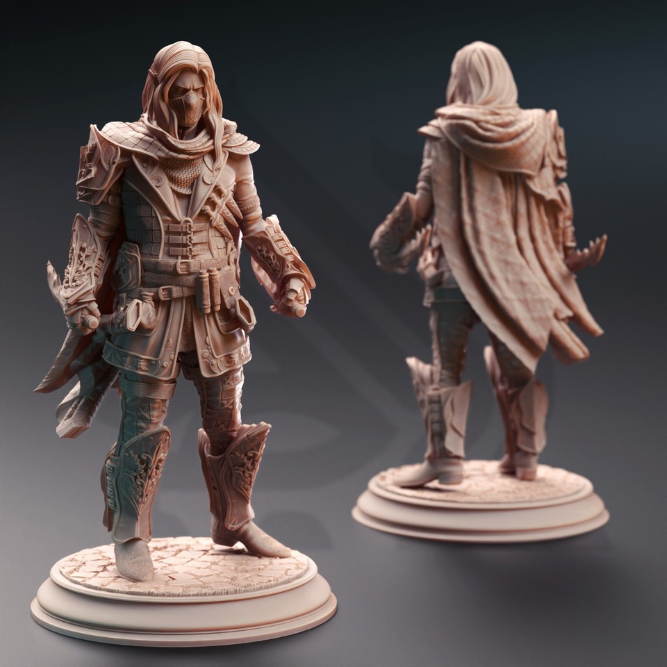 DM Stash Miniatures Elf Male Thief Rogue Assassin Dungeons & Dragons ...