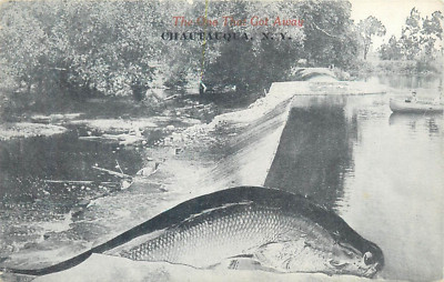 Fishing exaggeration Chautauqua N.Y. The One That Got Away big fish ...