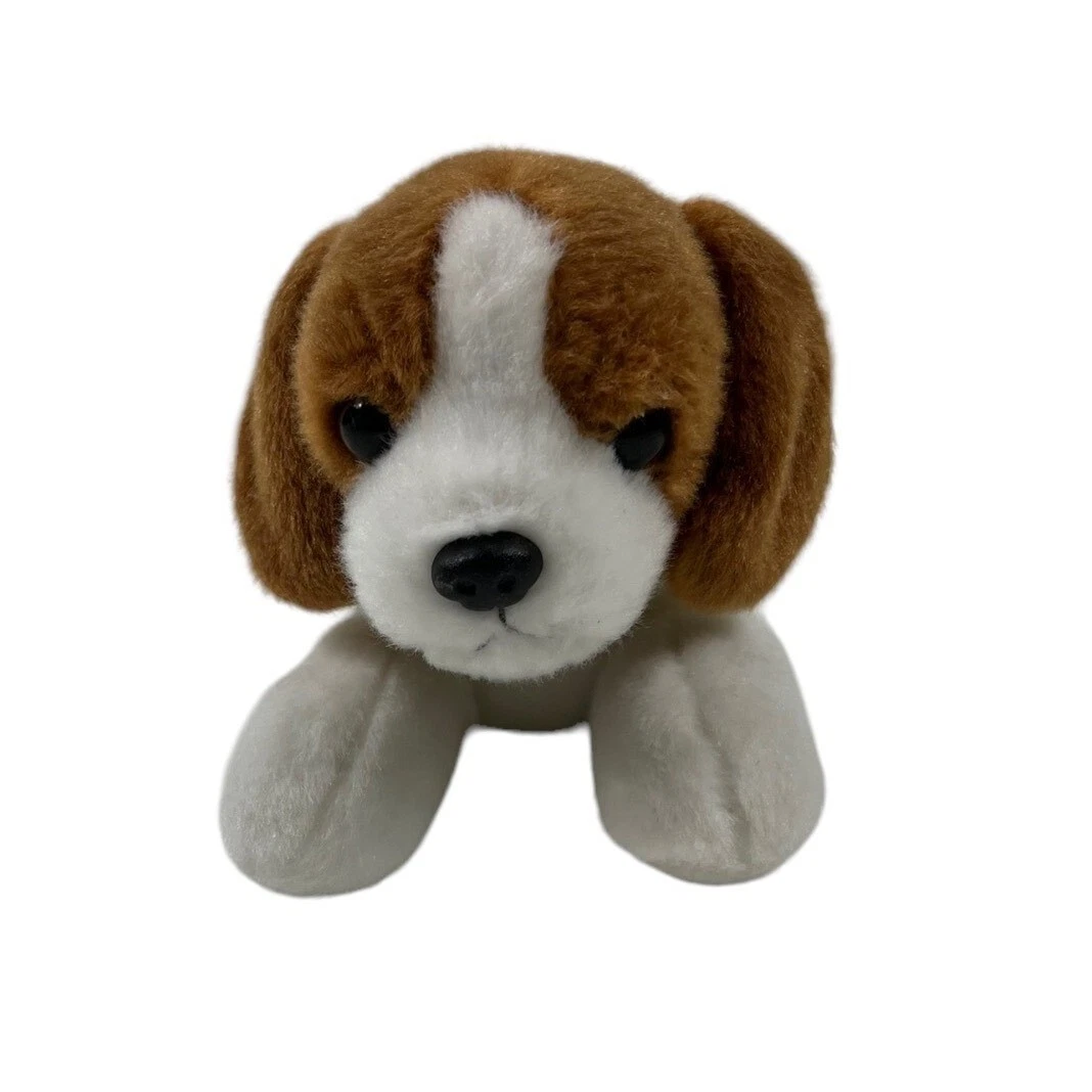 Brown And White Beagle