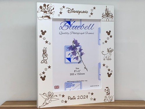 Disneyland Paris Photo Frame Engraved & Personalised Any Year 6x8 ...