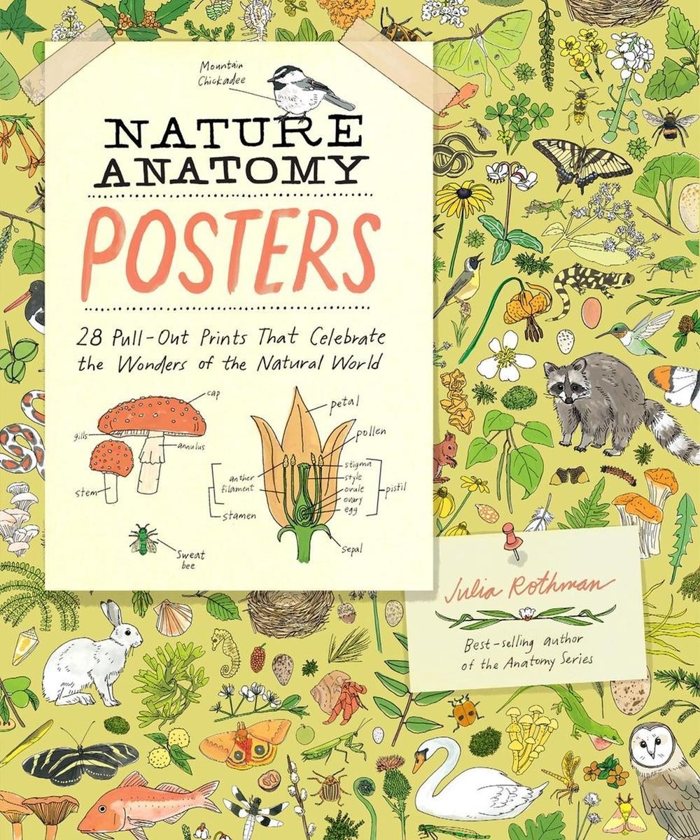 Nature Anatomy Posters: 28 Pull-Out Prints That Celebrate the Wonders ...